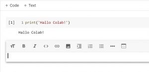 Python programmieren ohne Installation! - Ingo Janssen